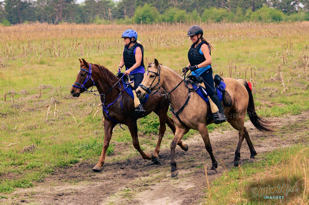 2021 Longleaf Gallop - Events - Endurance Races - Unbridled Imagery
